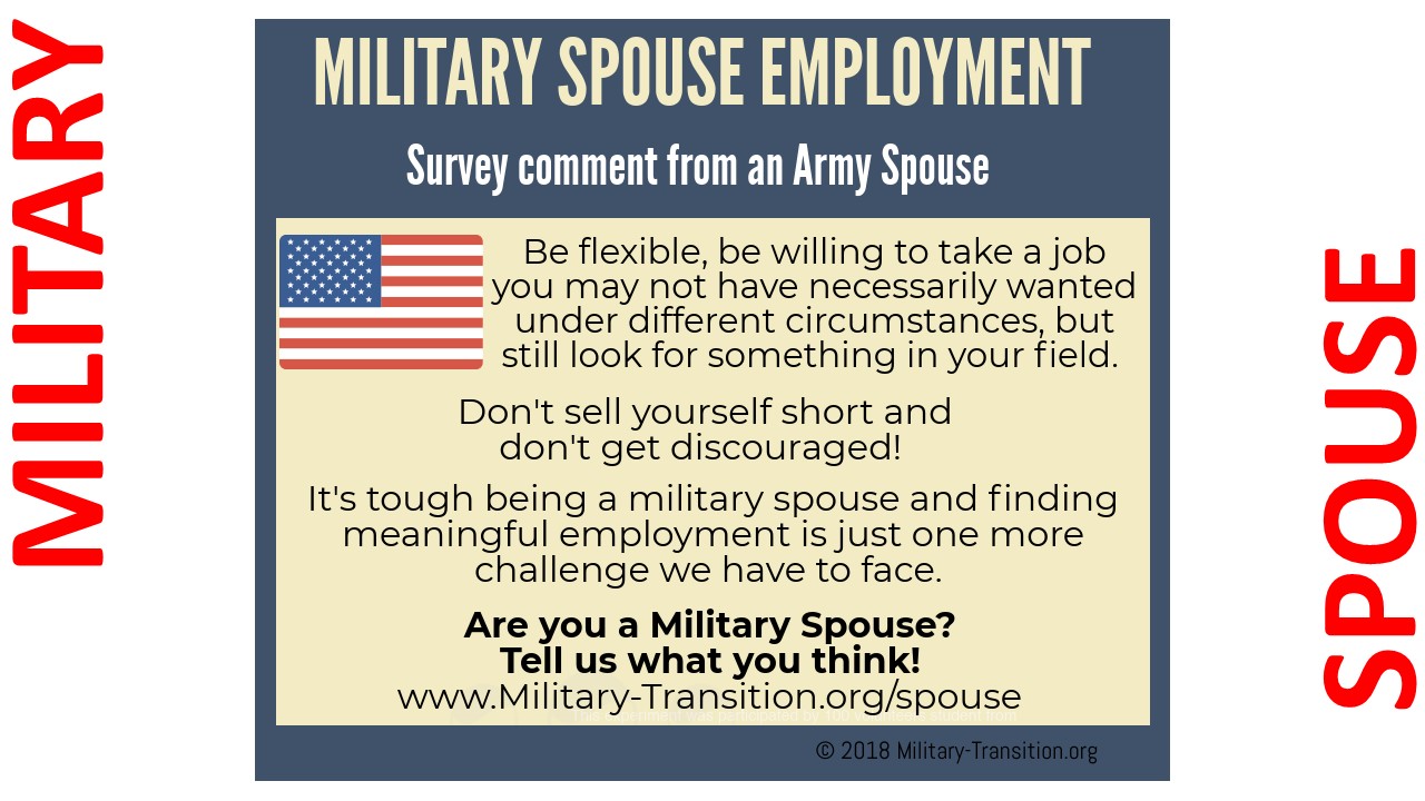 Military to Civilian Transition | Military Transition Assistance Graphics