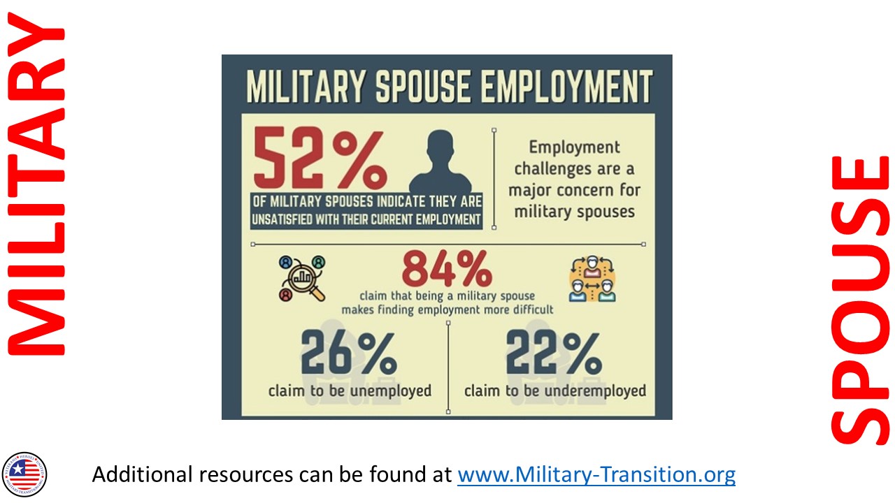 Military to Civilian Transition | Military Transition Assistance Graphics